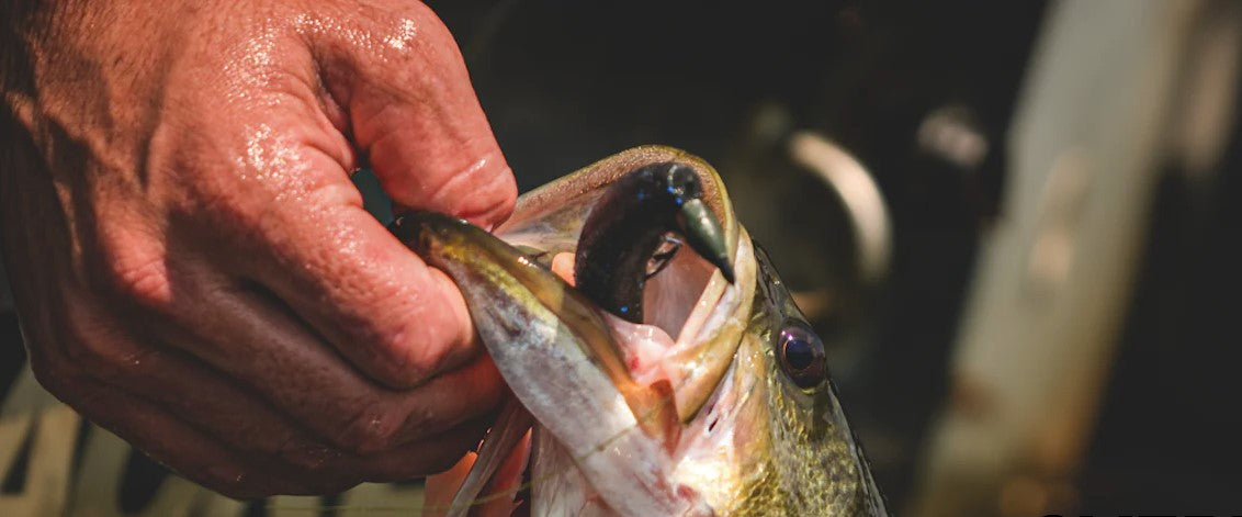 Daiwa Neko Macho Gary Yamamoto Soft Lures – Tuppens